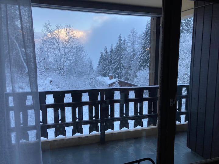 Carroz D'arâches : Studio 4 Pers - Les Carroz d'Arâches