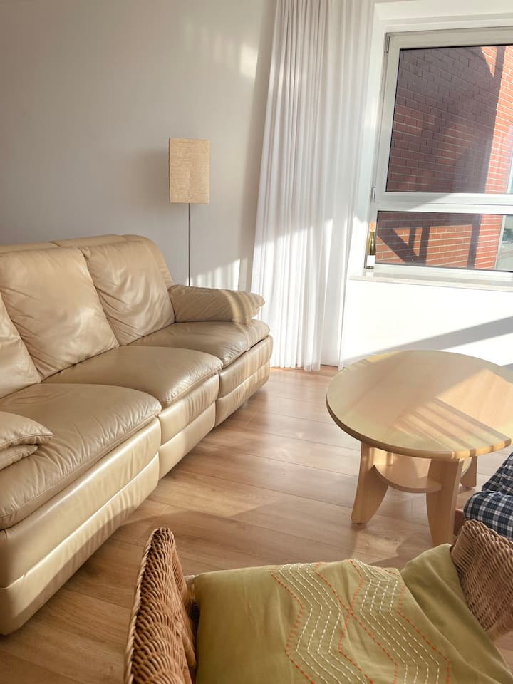 City Center Luxious Apartment For You Short Stay - Rotterdam