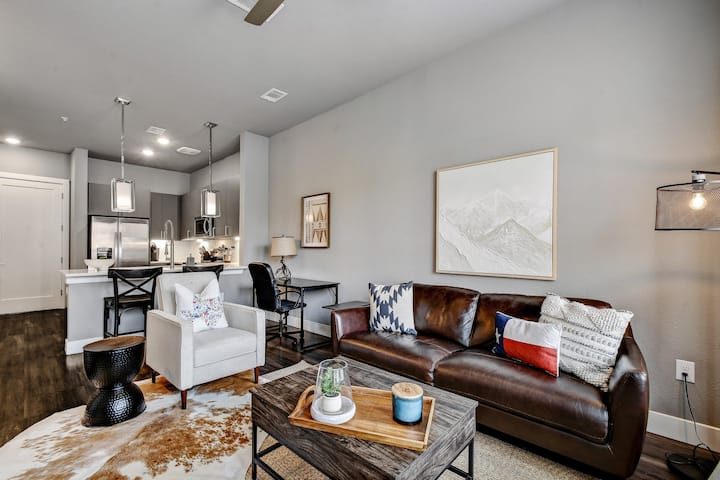 Luxury Downtown Apartment | Fast Wi-fi | Desk Area - San Antonio, TX