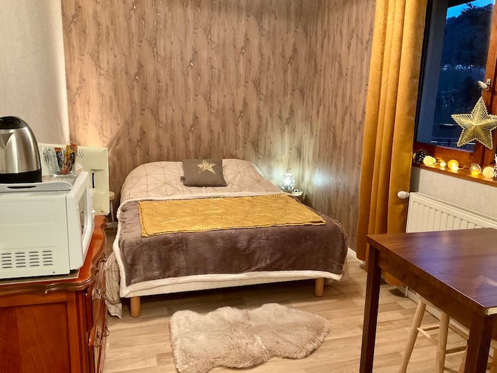 Chambre Proche Ville Et Pistes - Mont-Dore