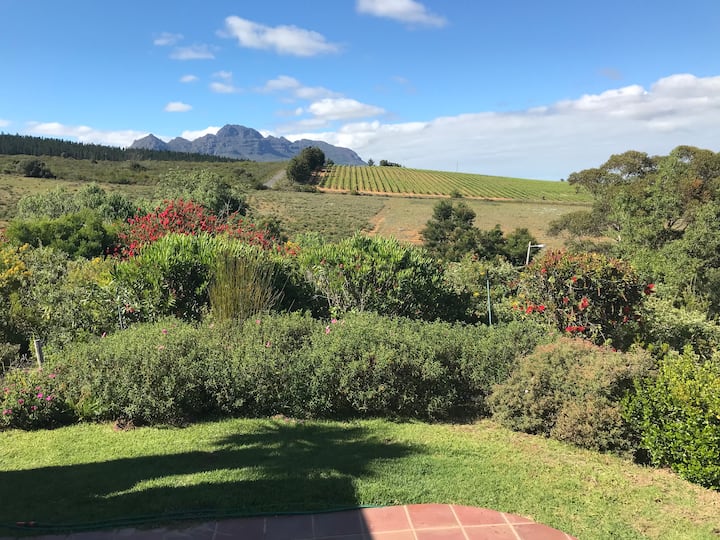 Peaceful Oasis, Centrally Located, With Inverter - Stellenbosch