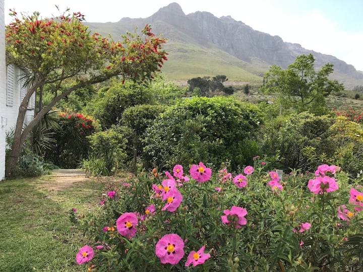 Peaceful Oasis, Centrally Located - Stellenbosch