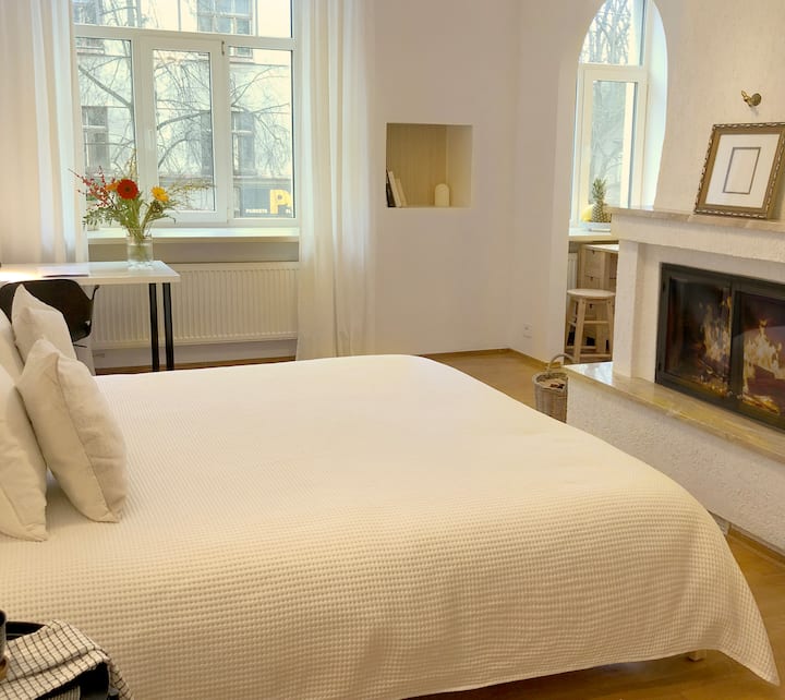 Centre Apartment With Fireplace - Riga
