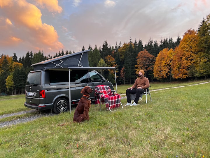 Freedom On Wheels - Praha