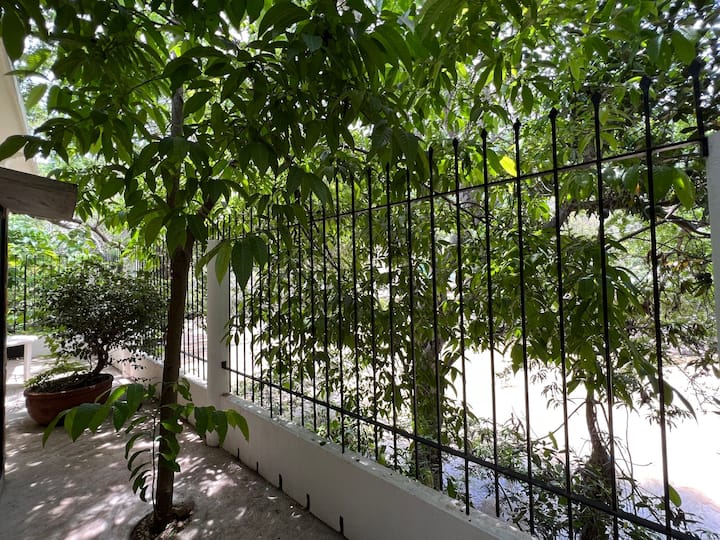 Riverside Bliss: Local Soul Awaits-casa Nina-a - Puerto Vallarta