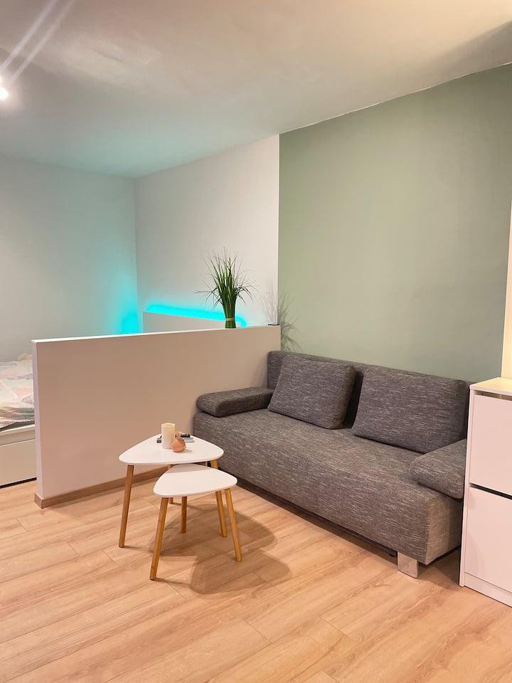 Studio Cocooning à Obernai / Vue Panoramique - Obernai