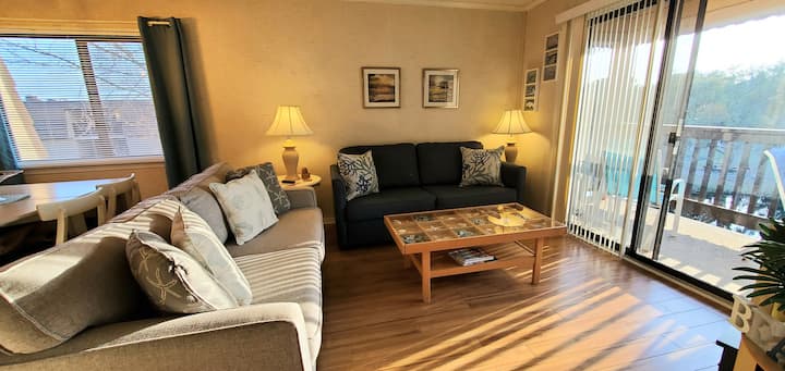 Isle Of View 2- Large Updated 2br That Sleeps 8 - Hilton Head Island, SC