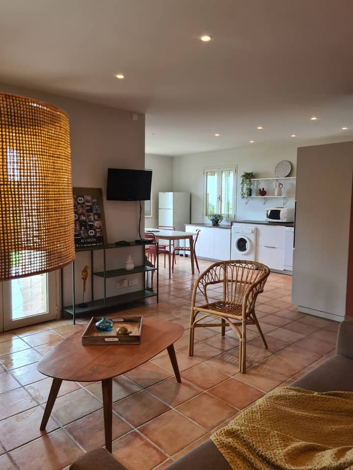 Vue Mer & Vigne : Villa Moderne En Plein Maquis - Solenzara