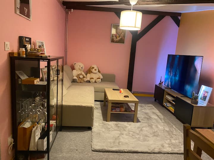 Appartement - Strasbourg