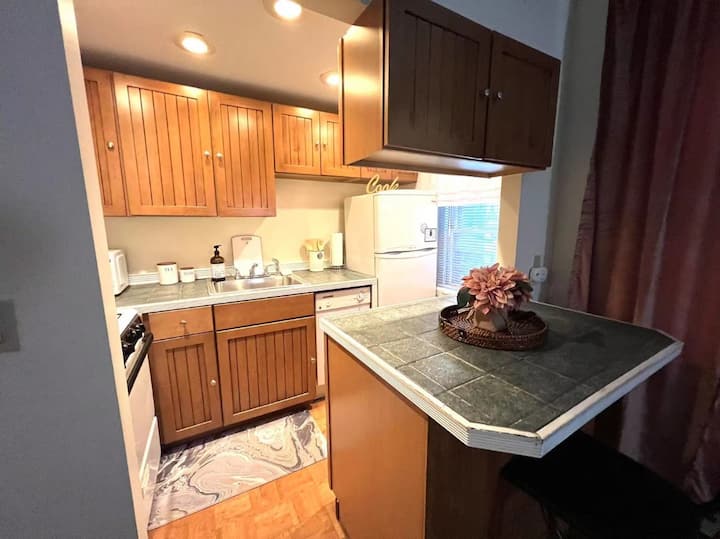 Nicest 1bedroom Apt With 2beds In Boston - Boston, MA
