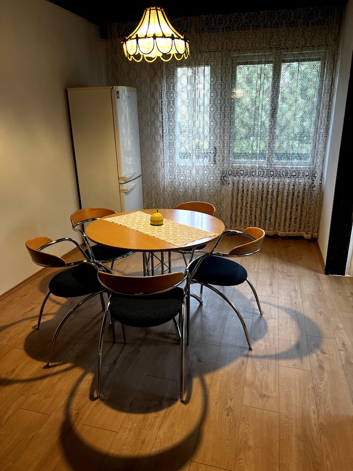 Entire House Close To Downton - Zrenjanin