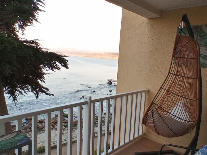 Departamento Bahía Pelícanos - Quintero