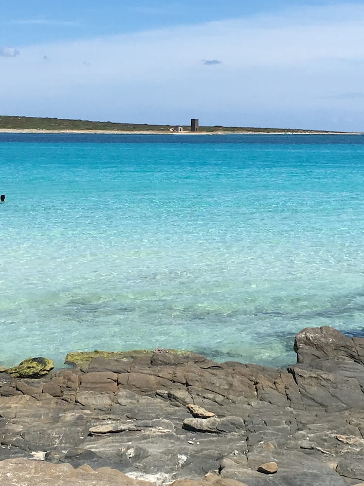 Stintino Roccaruja A 150 Metri Spiaggia Pelosa - Stintino