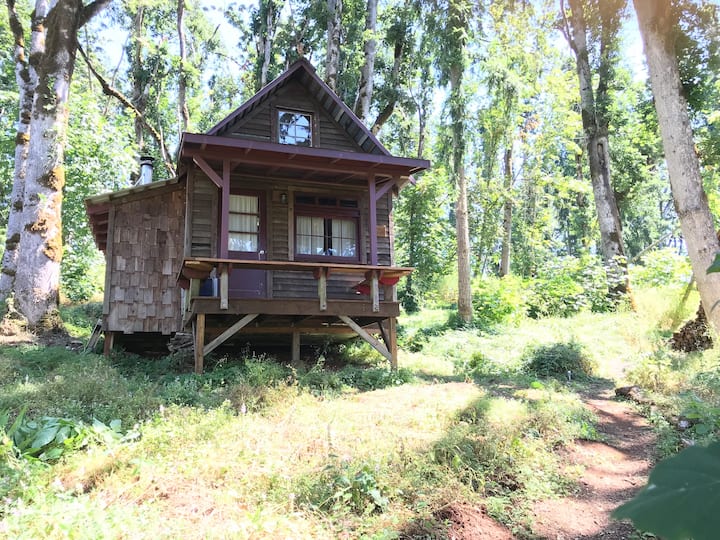 Understory Cabin - Silverton, OR