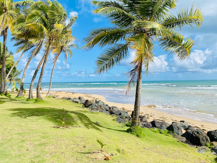 2br1br Newly Renovated Beach Apt - Villa Tinglar - Luquillo