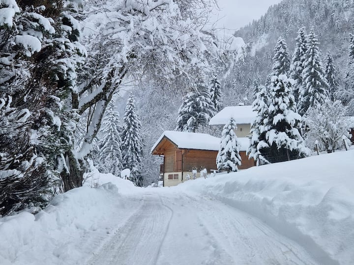 Chalet Cosy 130m2 Avec Vue, Gd Bornand/la Clusaz - Thônes