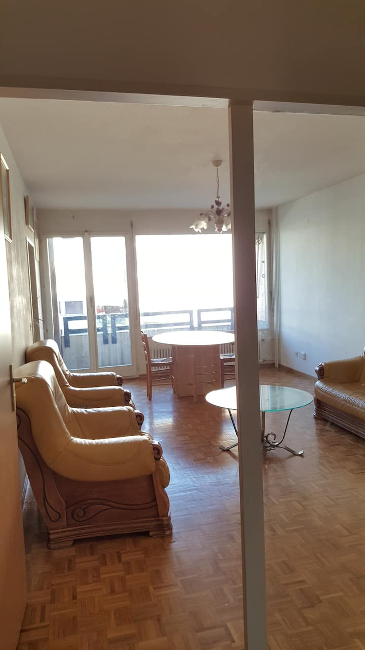 Grande Chambre , Confort Et Lumineuse. Sdb Privée. - Carouge