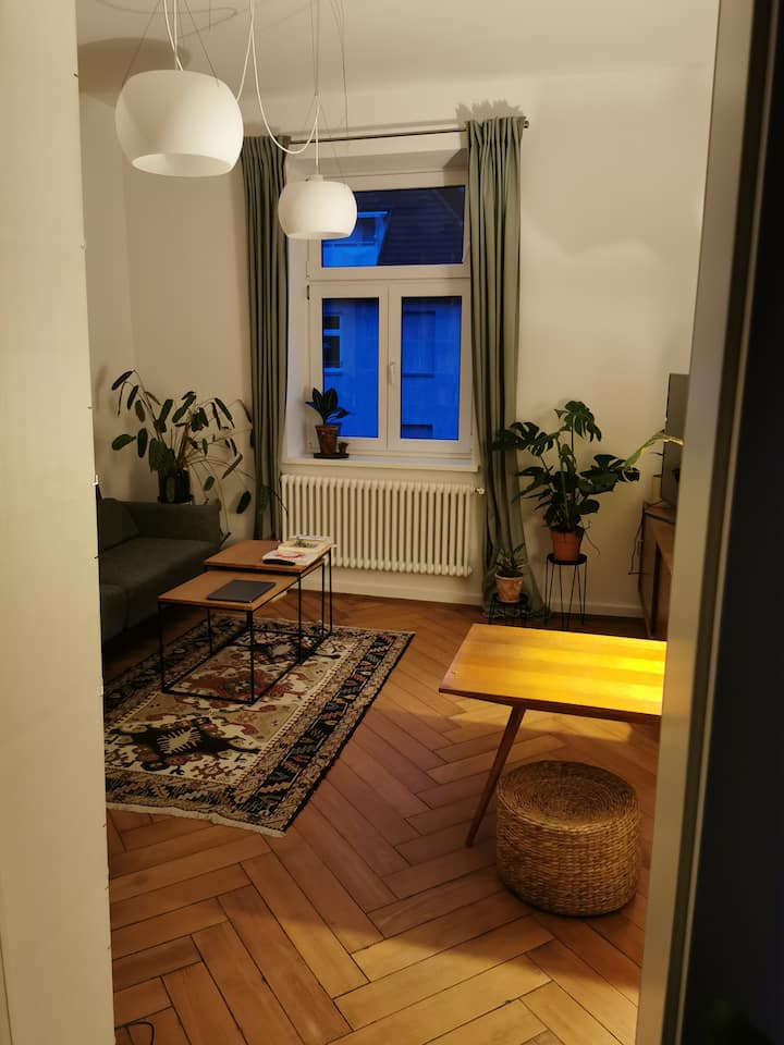 Moderner 2-zi. Altbau Im Zentrum - Munich