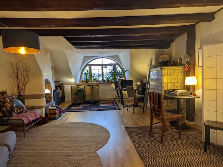 Entire Apartment In Old Town - Ginebra