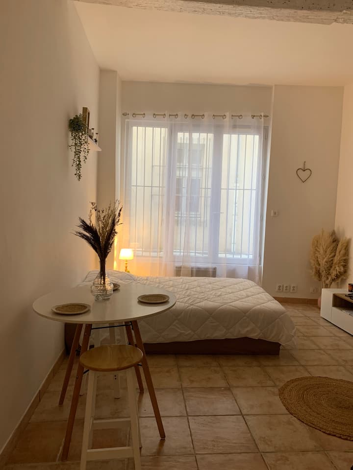 Charmant Studio Avec Wifi : Le Bénézet - Avignon