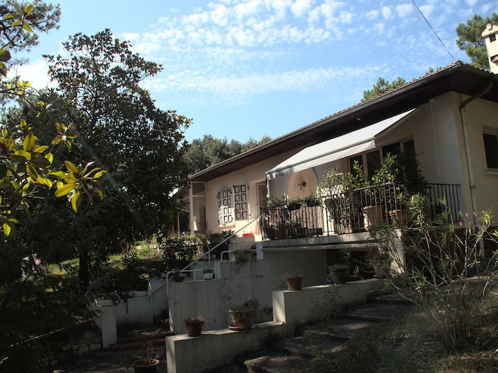 Villa Hossegor Entre Lac Et Mer - Hossegor