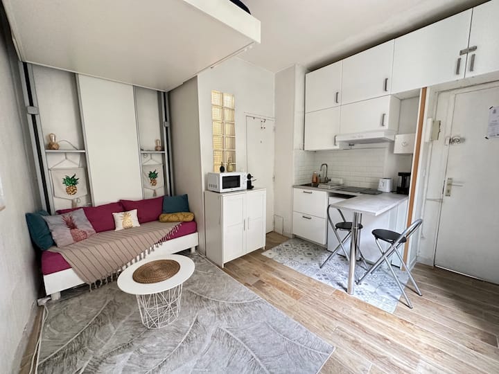 The Pineapple Cosy Studio In The Heart Of Paris - Cachan