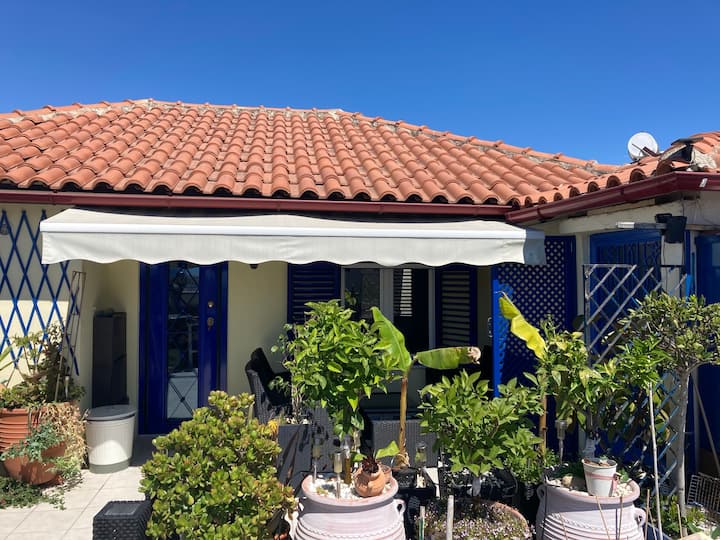 Charming Green Loft - Пеания