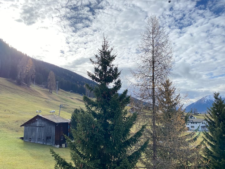 Excellent Located 3-room Apt - Davos