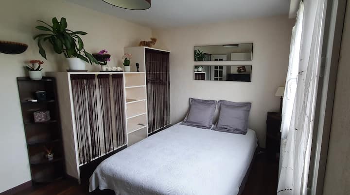 Chambre Privée Avec Salle De Douche - Maurepas