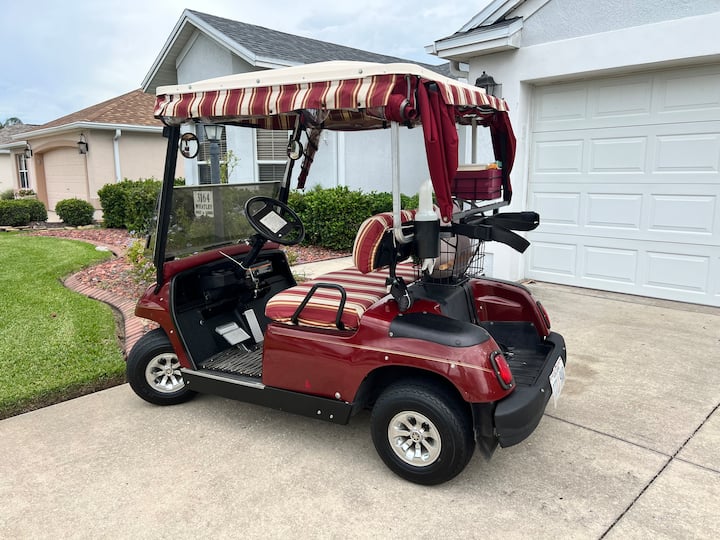 Have A Good Time On Gooding Pl.! - The Villages, FL