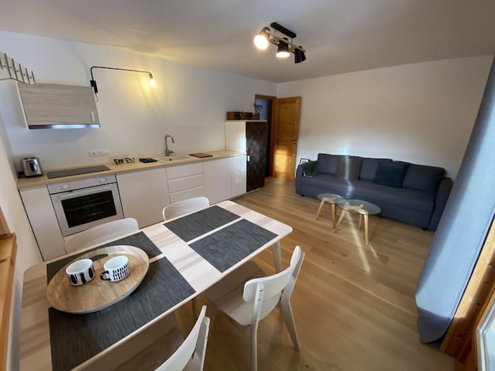 Appartement. Chamonix-mont-blanc - 霞慕尼