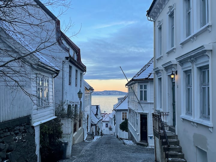 Central Sparkling Apartment In Bergen - Bergen