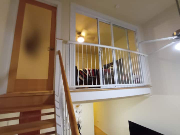 2 Level Penthouse With 2-sides - Richmond, VA