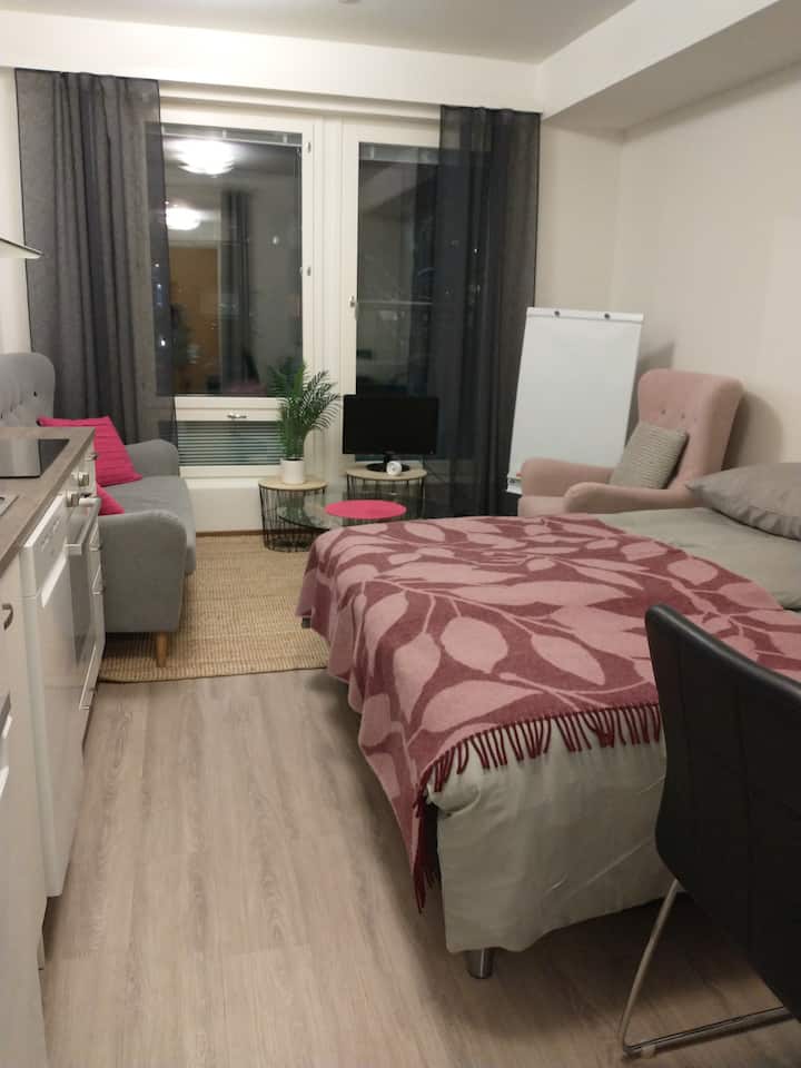 Viihtyisä Yksiö Lehtikadulla - Rovaniemi