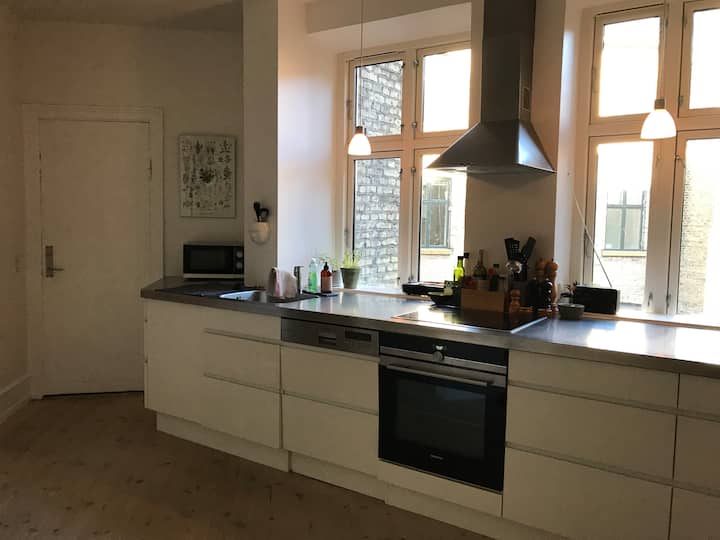Stor Privat Lejlighed Centralt I København - Kopenhagen