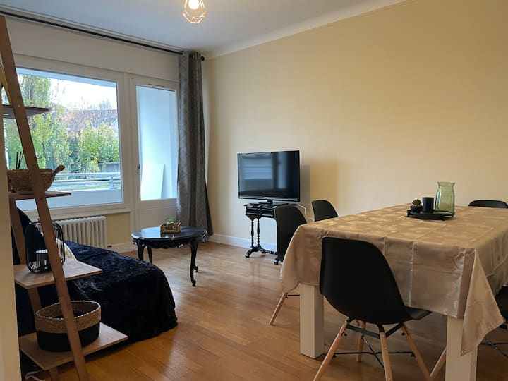 T3 Centre Ville Proche Lac Et Gare Avec Garage - Lac d'Annecy