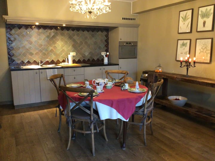 A Cosy Place Close To The River - Dendermonde