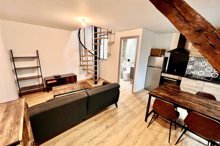 Duplex Chic Haut Standing - Centre Auxonne - Auxonne