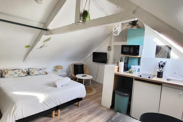 La "Cabane" - 50 M Plage* - Dinard
