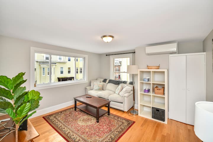 Beautiful Fully Renovated Monthly Rental Furnished - Boston, MA