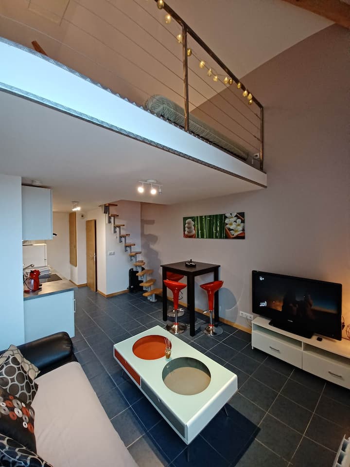 Spacieux Appartement Duplex - Le Bourget-du-Lac