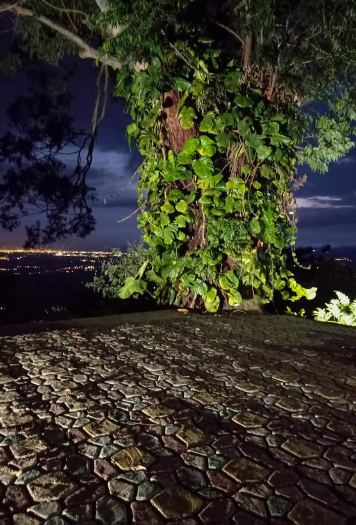 Mágica Vista - Finca Cafetera - Palmira