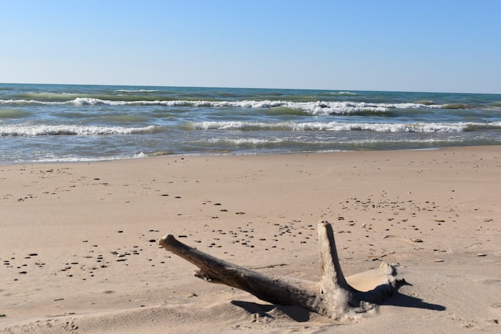New Listing! Lake Mi Access! - Electric Forest