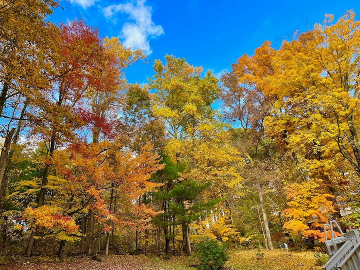 Charlie’s Hideaway - Kettletown State Park, Southbury