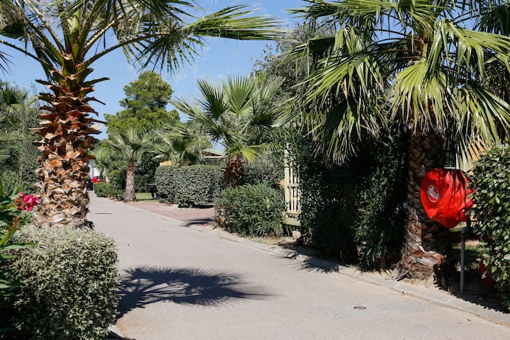 Mobil Home 3 Ch Clim Tv - Saint-Cyprien