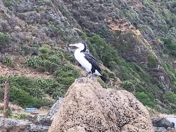 Right On The Beach! Pukerua Bay - Porirua