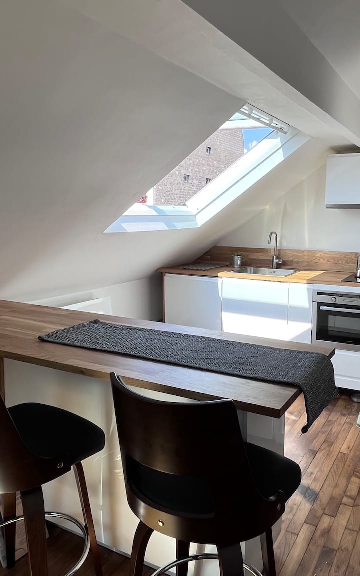 Beau Studio Proche Rer Bourget - Drancy
