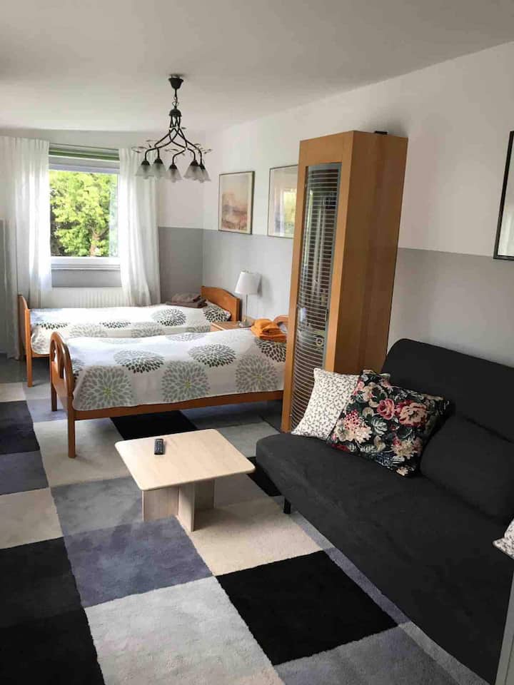 Cozy Business Apartment R3 - Bonn