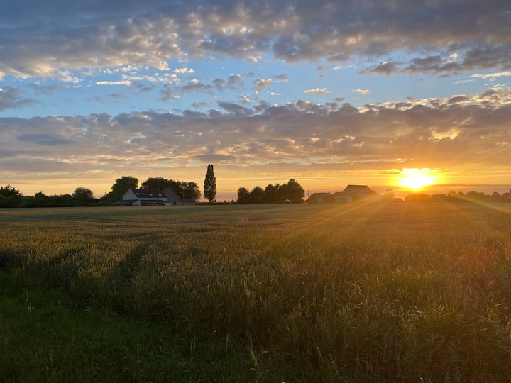 Maison De Campagne Familiale Au Calme - Ath