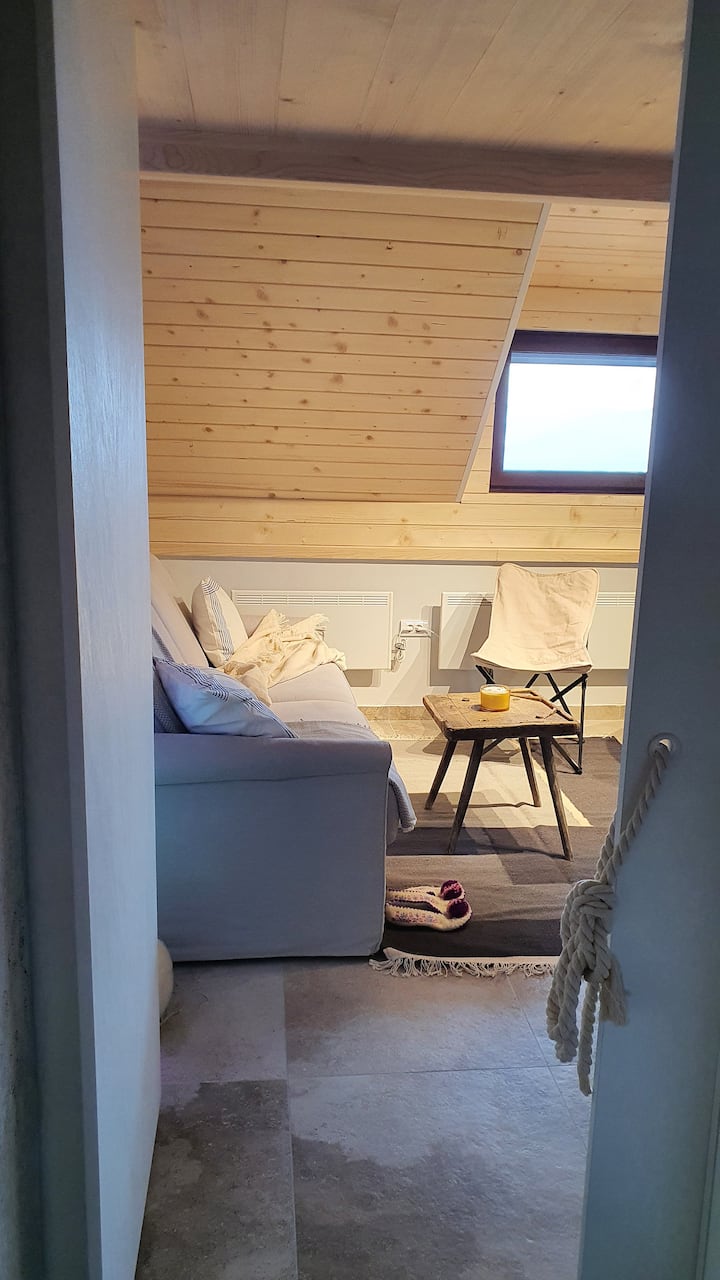 ЗАГА Rooftop Mountain Apartment - Kopaonik